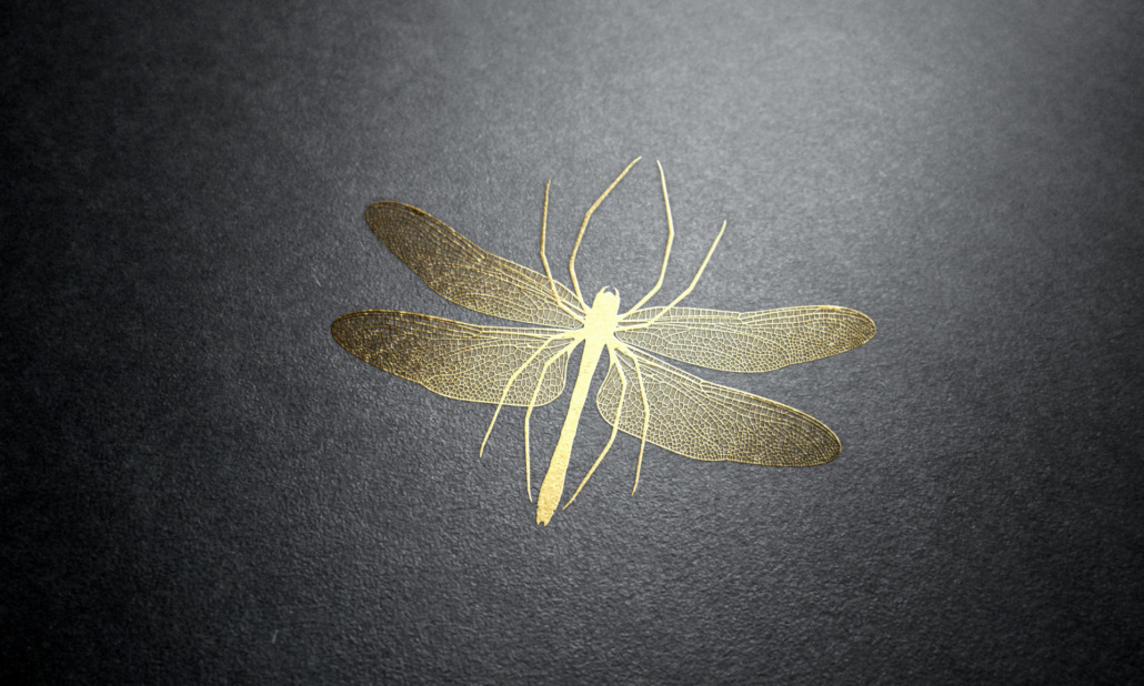 UI/UX Design – Spiderfly Studios